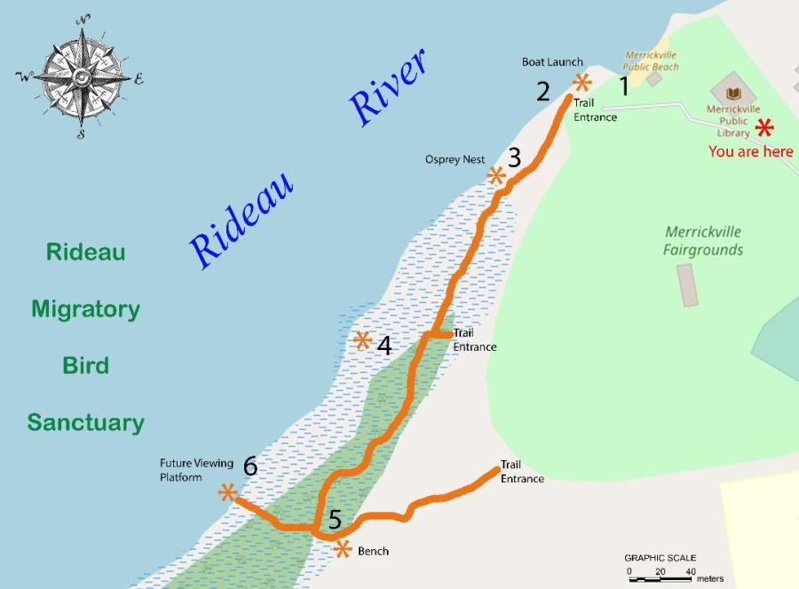 riverwalk-map-5 | Merrickville District Trails Society